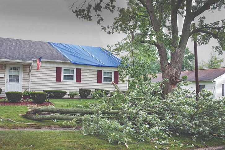 Fast and Accurate Measurements with GAF QuickMeasure